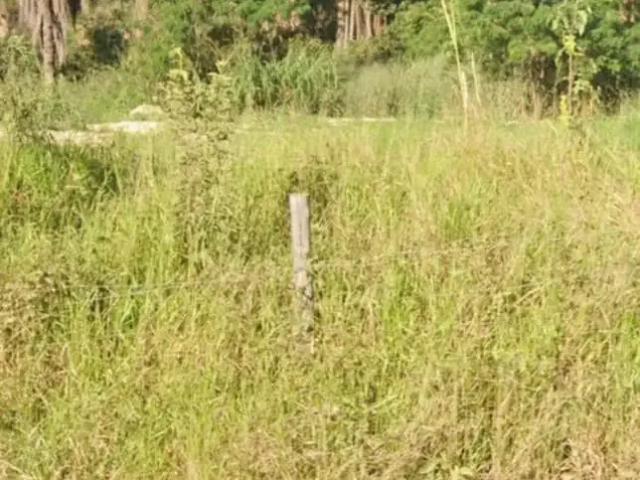 Terreno / Lote para Venda em Esmeraldas/MG Melo Viana