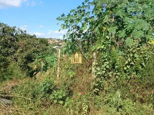 Terreno / Lote para Venda em Esmeraldas/MG Santa Quitéria