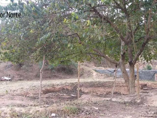 Terreno / Lote para Venda em Esmeraldas/MG Vivendas Barbosa Melo Viana