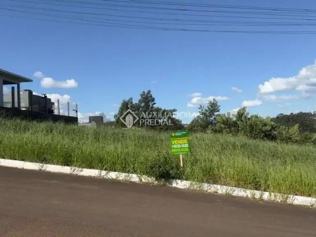 Terreno / Lote para Venda em Estância Velha/RS Bela Vista