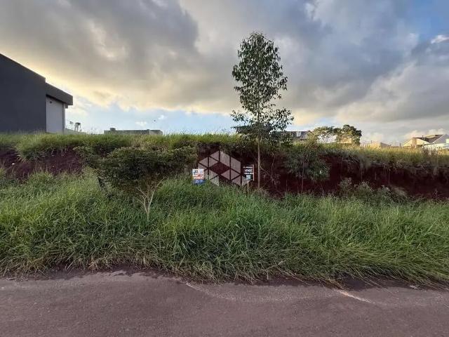 Terreno / Lote para Venda em Estância Velha/RS Bela Vista