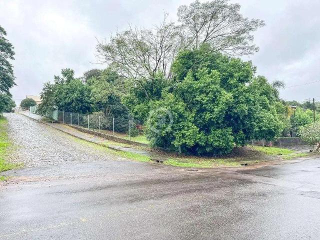 Terreno / Lote para Venda em Estância Velha/RS Bela Vista