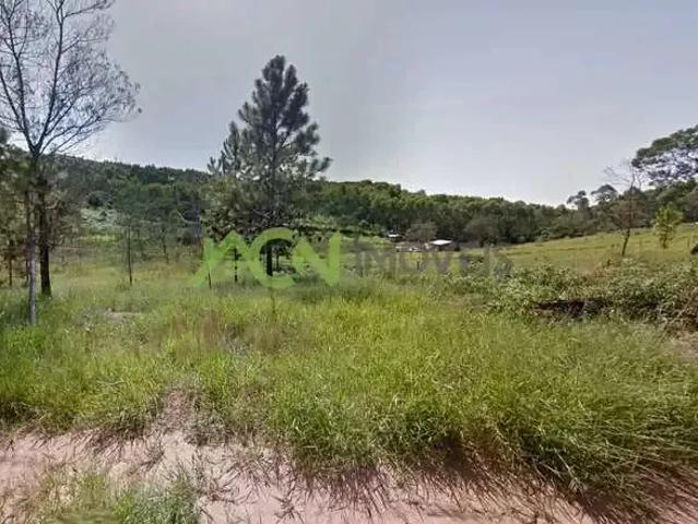 Terreno / Lote para Venda em Estância Velha/RS Campo Grande