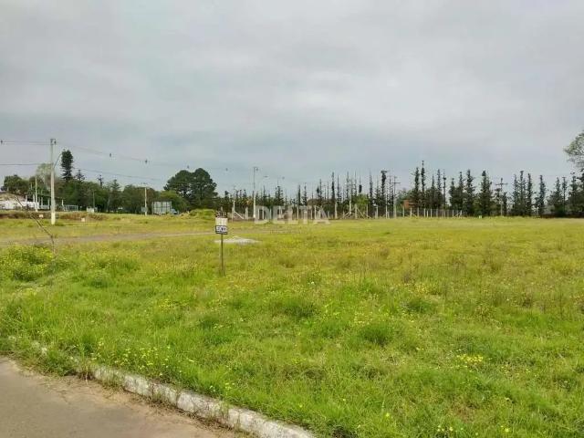 Terreno / Lote para Venda em Estância Velha/RS Campo Grande