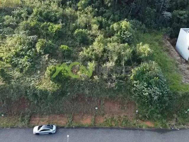 Terreno / Lote para Venda em Estância Velha/RS Floresta