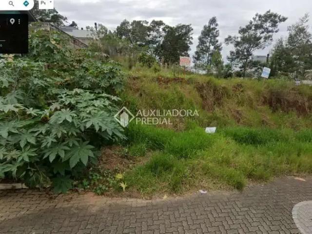 Terreno / Lote para Venda em Estância Velha/RS Floresta