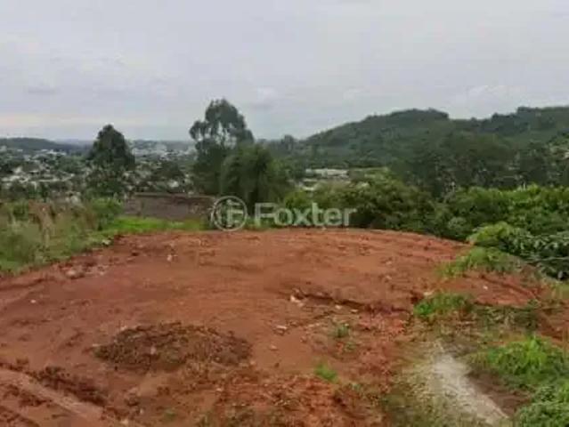 Terreno / Lote para Venda em Estância Velha/RS Floresta