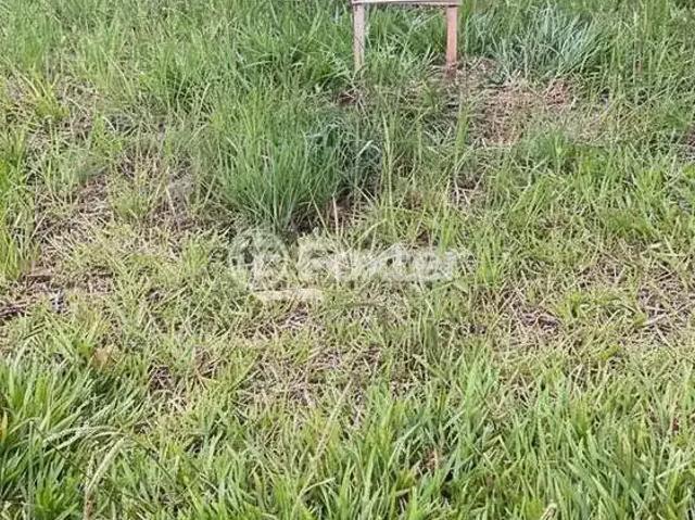 Terreno / Lote para Venda em Estância Velha/RS Rincão dos Ilhéus