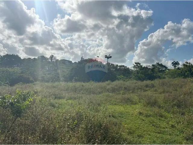 Terreno / Lote para Venda em Estância/SE Praia do Abais