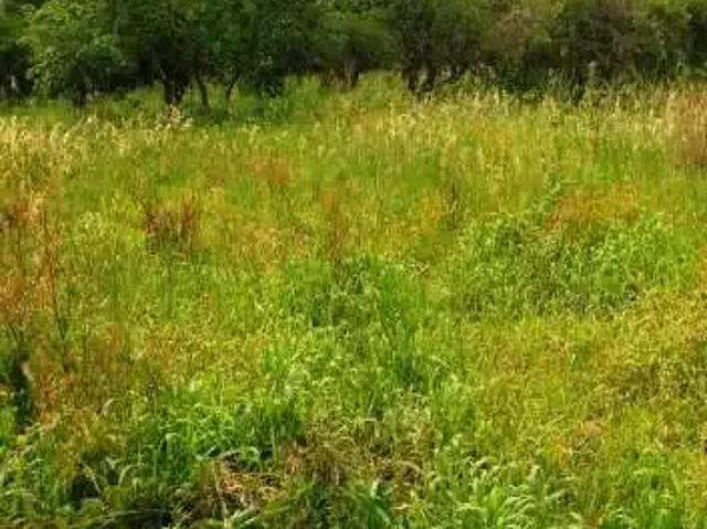 Terreno / Lote para Venda em Esteio/RS Vila São José