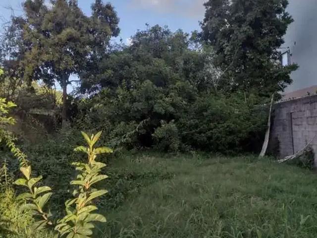 Terreno / Lote para Venda em Esteio/RS Vila São José