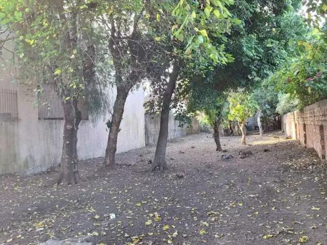 Terreno / Lote para Venda em Esteio/RS Centro
