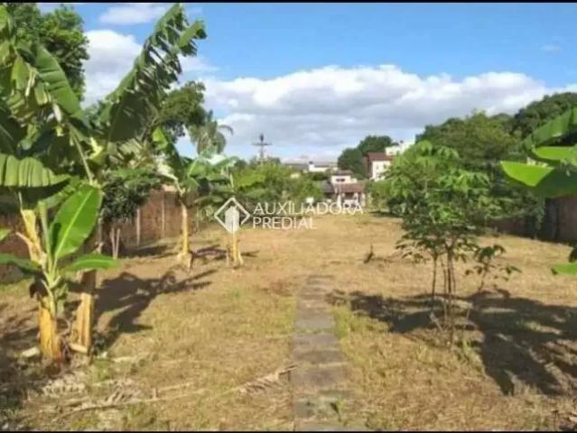 Terreno / Lote para Venda em Esteio/RS Parque Amador