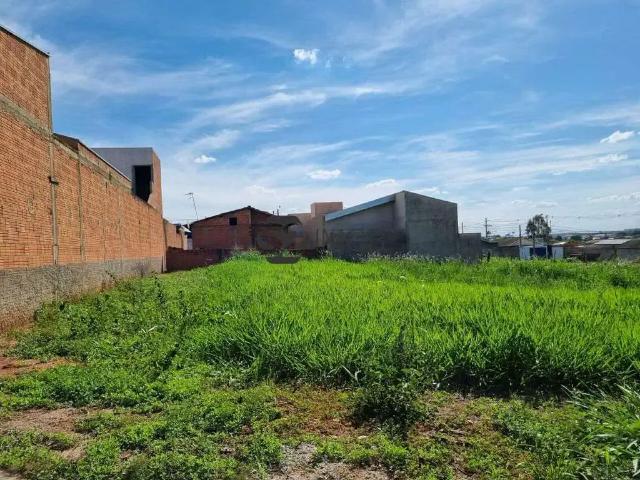 Terreno / Lote para Venda em Estiva Gerbi/SP Parque São José
