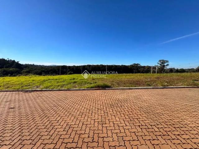 Terreno / Lote para Venda em Estrela/RS Pinheiros