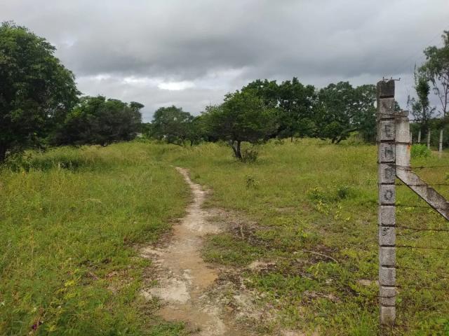 Terreno / Lote para Venda em Eusébio/CE Mangabeira