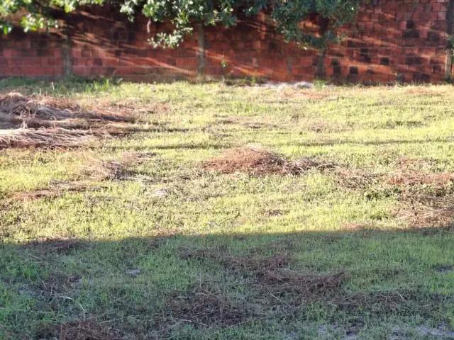 Terreno / Lote para Venda em Eusébio/CE Santo Antonio