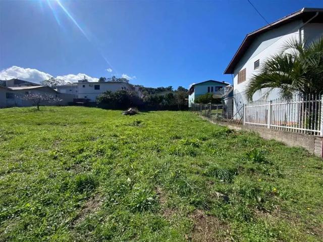 Terreno / Lote para Venda em Farroupilha/RS Monte Pasqual
