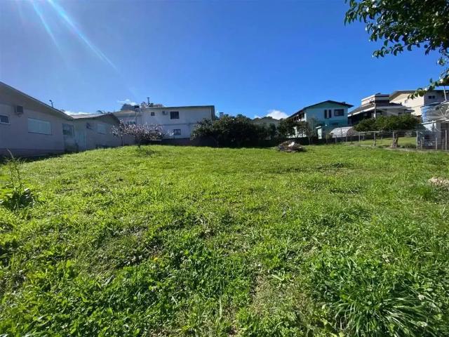 Terreno / Lote para Venda em Farroupilha/RS Monte Pasqual