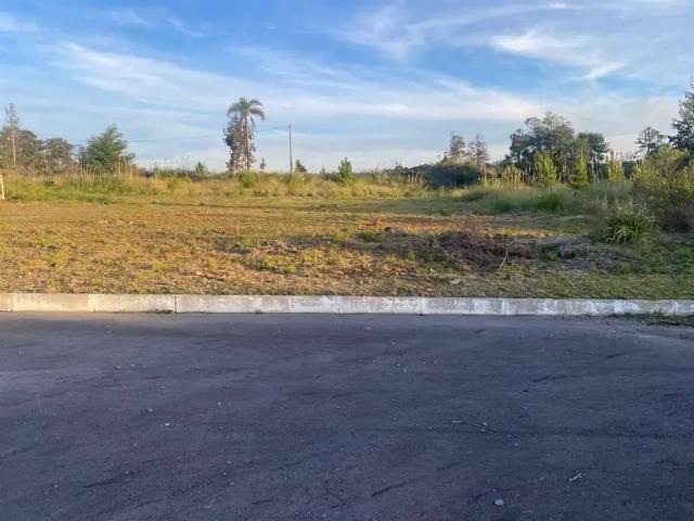 Terreno / Lote para Venda em Farroupilha/RS Monte Pasqual