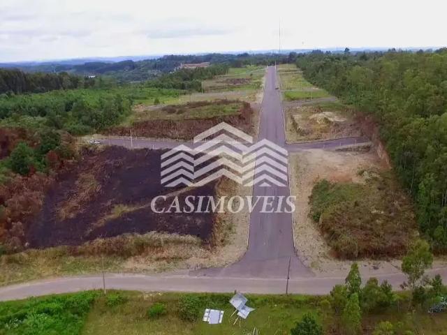 Terreno / Lote para Venda em Farroupilha/RS Monte Pasqual