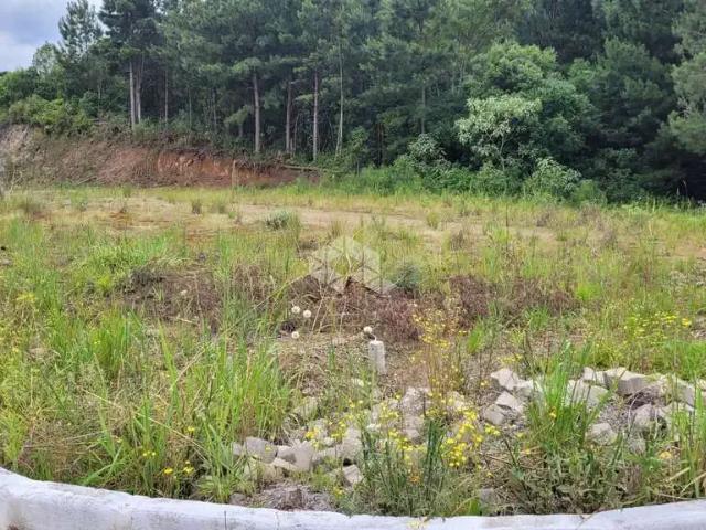 Terreno / Lote para Venda em Farroupilha/RS Nova Sardenha Distrito