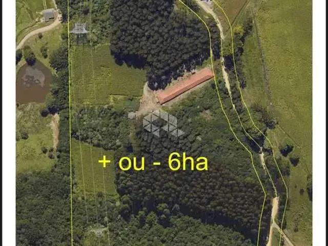Terreno / Lote para Venda em Farroupilha/RS Nova Sardenha Distrito