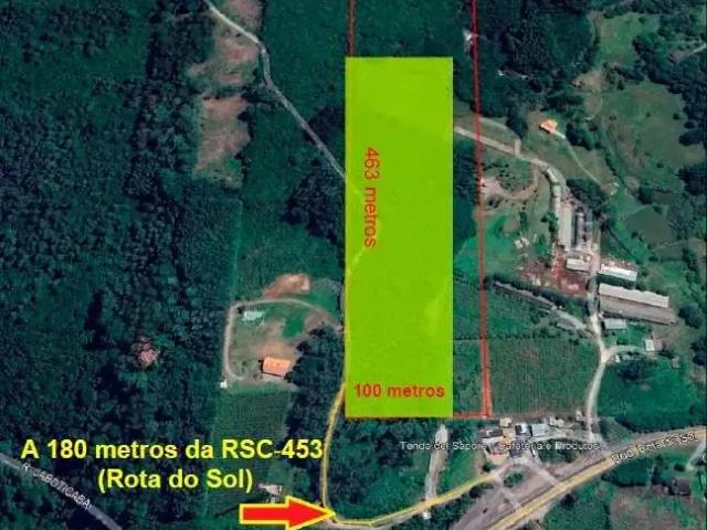 Terreno / Lote para Venda em Farroupilha/RS Nova Sardenha Distrito