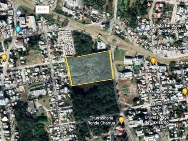 Terreno / Lote para Venda em Farroupilha/RS Nova Vicenza