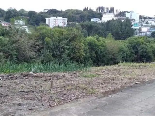 Terreno / Lote para Venda em Farroupilha/RS Nova Vicenza