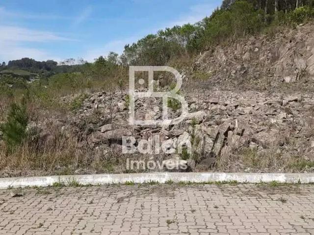 Terreno / Lote para Venda em Farroupilha/RS Olária