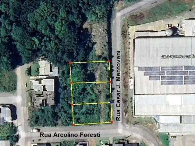 Terreno / Lote para Venda em Farroupilha/RS América