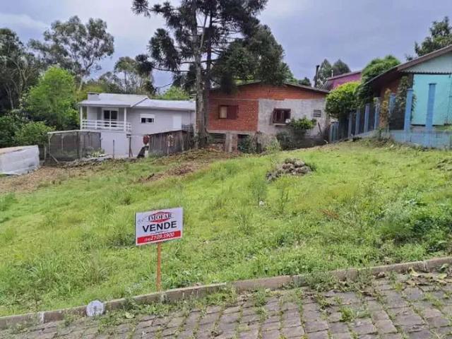 Terreno / Lote para Venda em Farroupilha/RS América