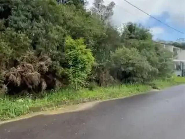 Terreno / Lote para Venda em Farroupilha/RS América