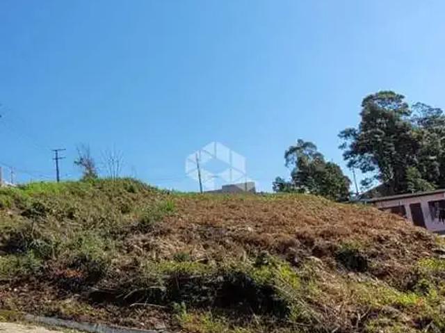 Terreno / Lote para Venda em Farroupilha/RS América