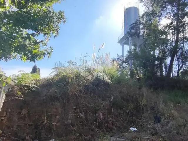 Terreno / Lote para Venda em Farroupilha/RS América