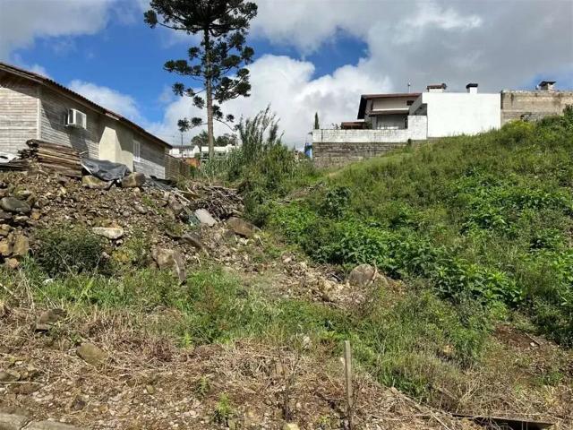 Terreno / Lote para Venda em Farroupilha/RS América