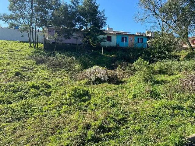 Terreno / Lote para Venda em Farroupilha/RS América