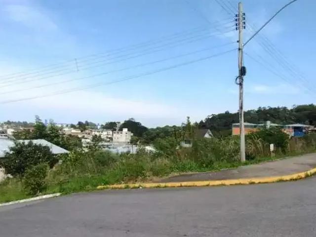 Terreno / Lote para Venda em Farroupilha/RS América