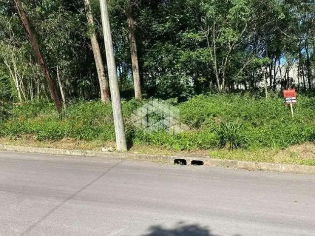 Terreno / Lote para Venda em Farroupilha/RS América