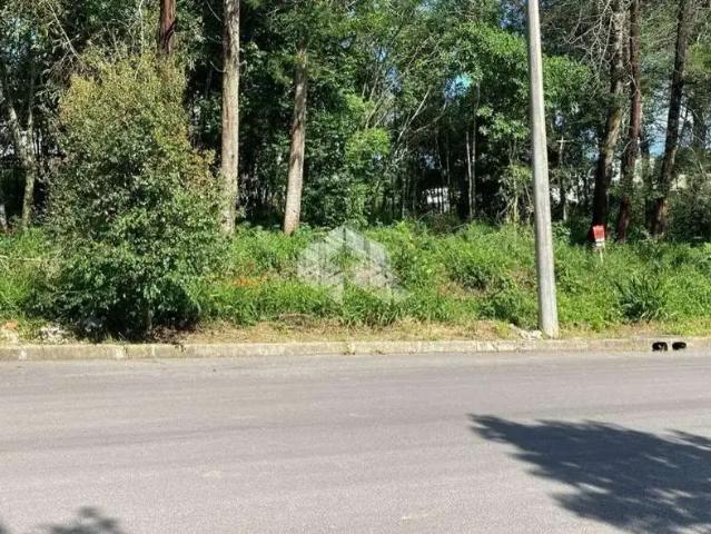 Terreno / Lote para Venda em Farroupilha/RS América