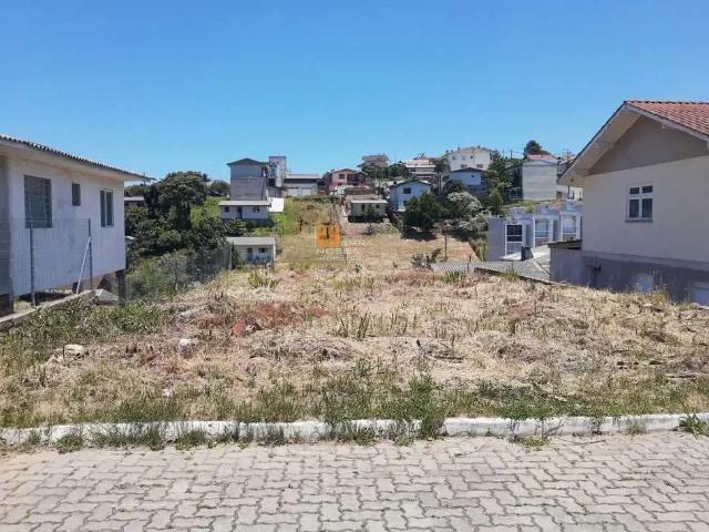 Terreno / Lote para Venda em Farroupilha/RS América