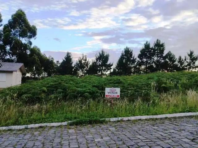 Terreno / Lote para Venda em Farroupilha/RS Bela Vista