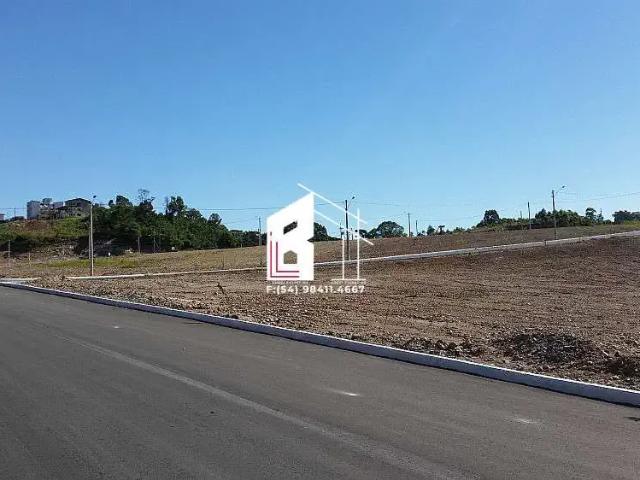 Terreno / Lote para Venda em Farroupilha/RS Belvedere