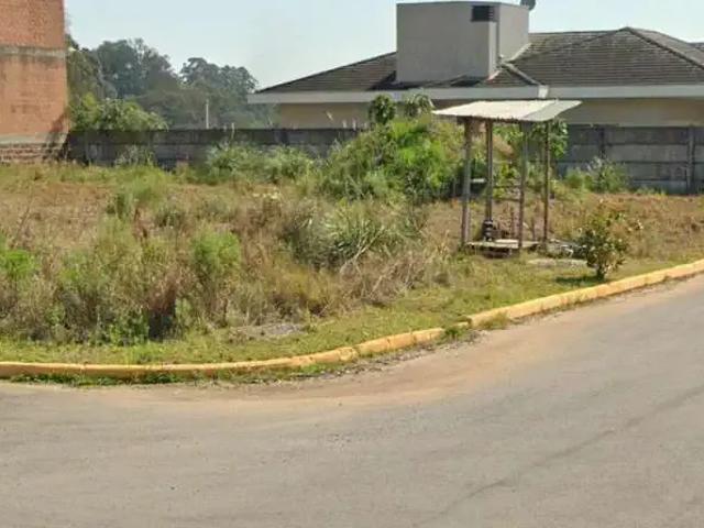 Terreno / Lote para Venda em Farroupilha/RS Belvedere