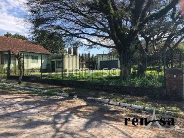Terreno / Lote para Venda em Farroupilha/RS Centro