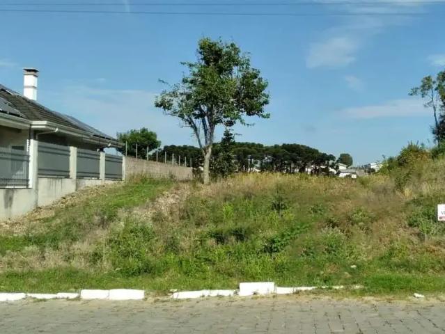 Terreno / Lote para Venda em Farroupilha/RS Imigrante
