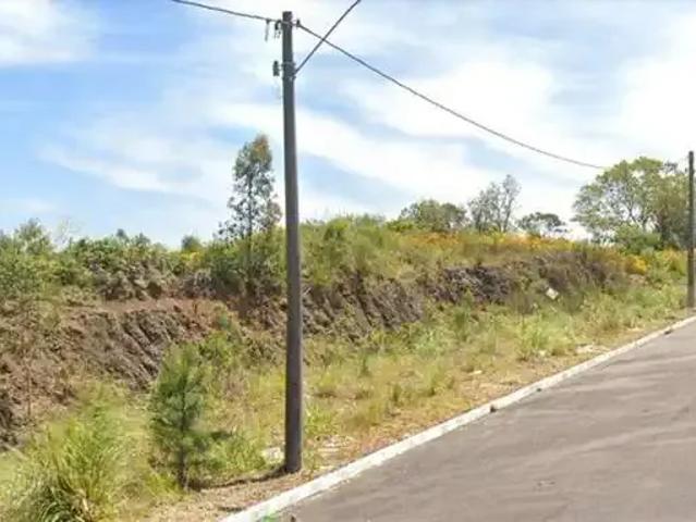 Terreno / Lote para Venda em Farroupilha/RS Linha Julieta