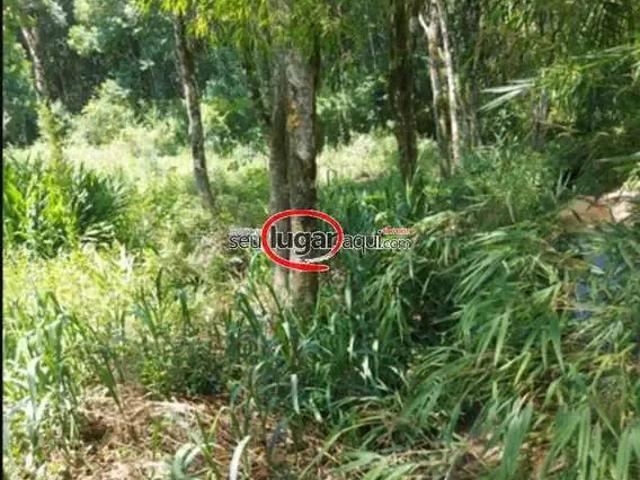 Terreno / Lote para Venda em Farroupilha/RS Linha Julieta