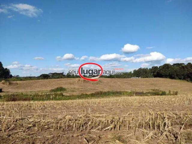 Terreno / Lote para Venda em Farroupilha/RS Linha Palmeiro
